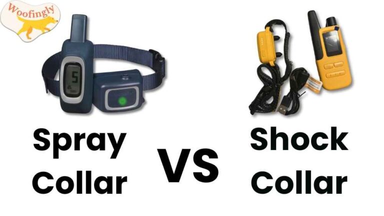 Spray Collar vs Shock Collar: Choosing the Best Training Tool for Your Dog